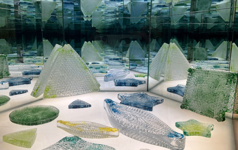 Diatom – Glass Microbiology