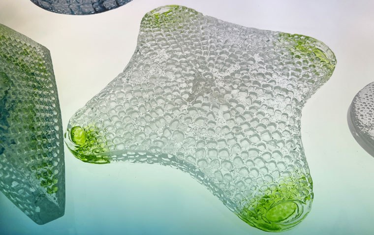 Diatom – Glass Microbiology