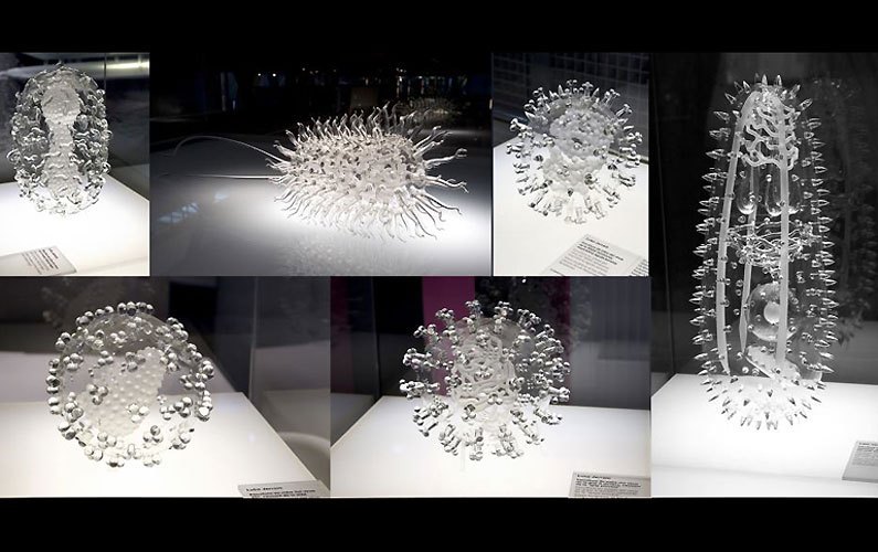 Exhibitions – Glass Microbiology