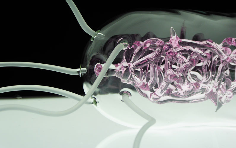 Pseudomonas Aeruginosa – Glass Microbiology - Luke Jerram